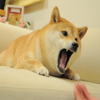 ANFD - Angry Doge token, TVL, Live Price and Chart, crypto | WhatToFarm